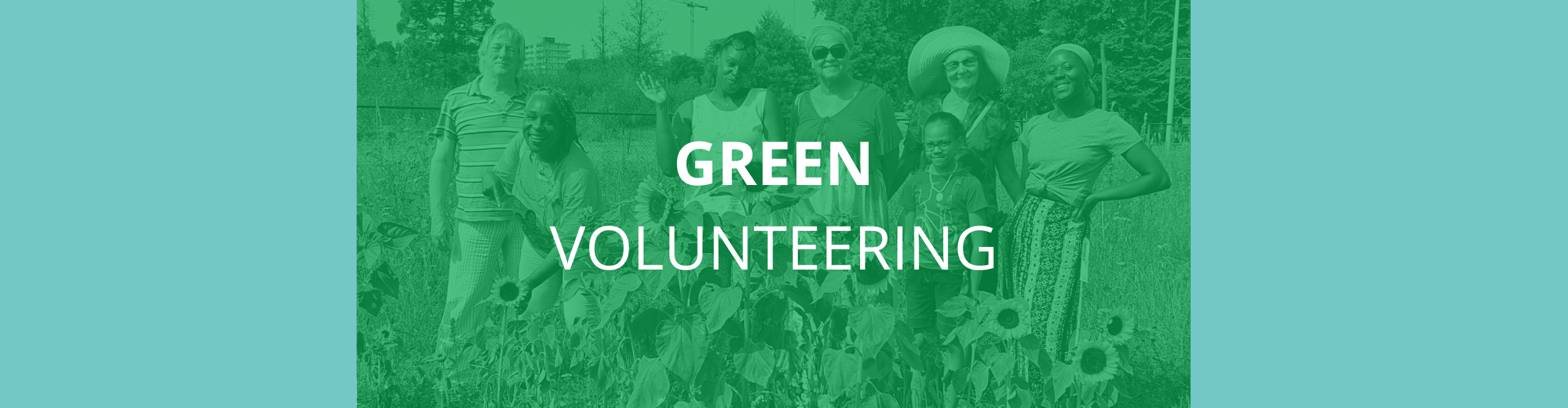 Noord | Let's greening Amsterdam's gardens - Serve the City Amsterdam