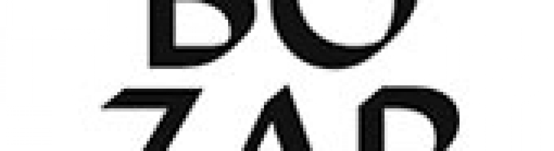 Bozar – Serve the City Brussels