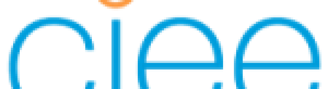 CIEE – Serve the City Berlin