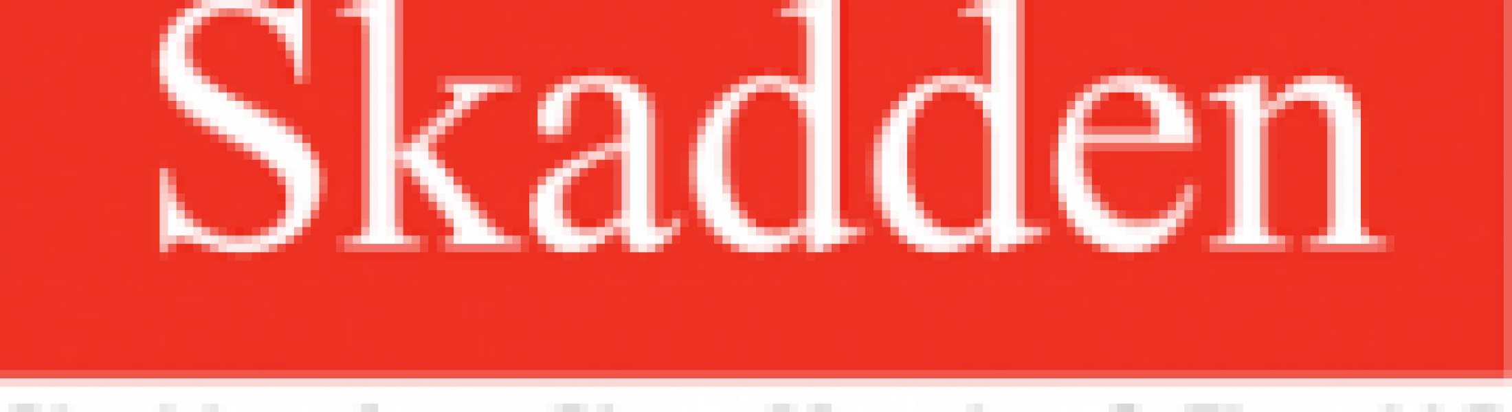 Skadden Law - Serve the City Paris